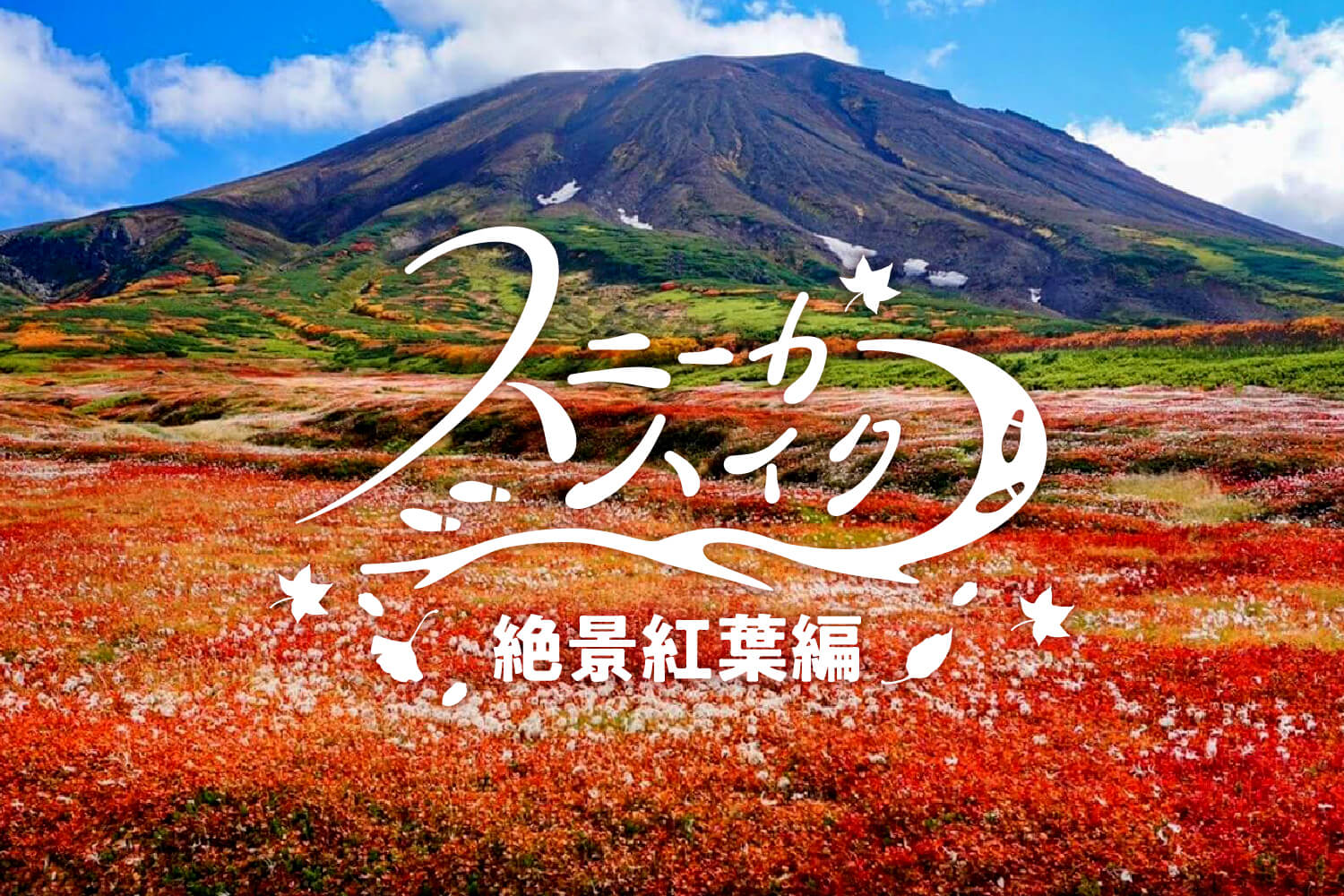 気軽に秋の絶景を楽しもう！ 紅葉スニーカーハイクのススメ | YAMAP MAGAZINE